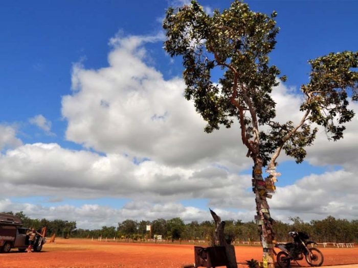 Junction Roadhouse | Bramwell Station Cape York Australia