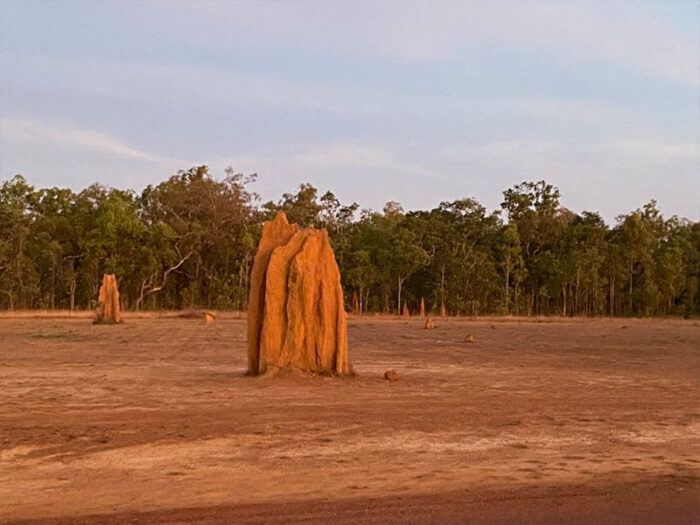 Junction Roadhouse | Bramwell Station Cape York Australia